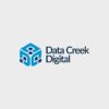 Digital data logo design | The Lion Studios